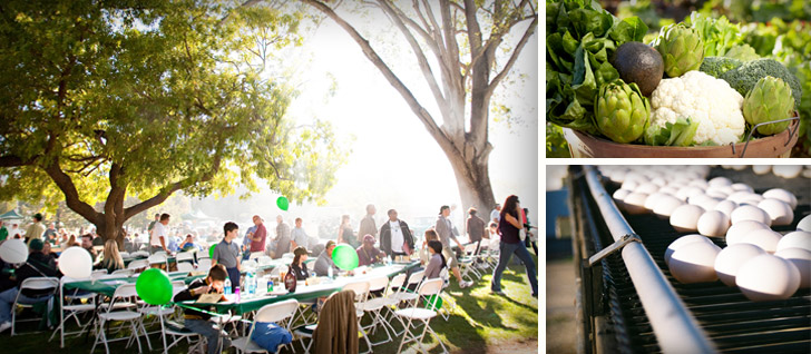 What is Summer Institute? - Educational Opportunity Program (EOP) - Cal ...